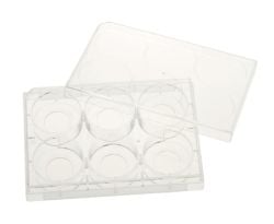 Tissue Culture Treated Glass Bottom Plates | CELLTREAT