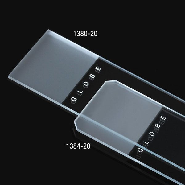 Diamond White Glass Frosted Microscope Slide | Globe Scientific