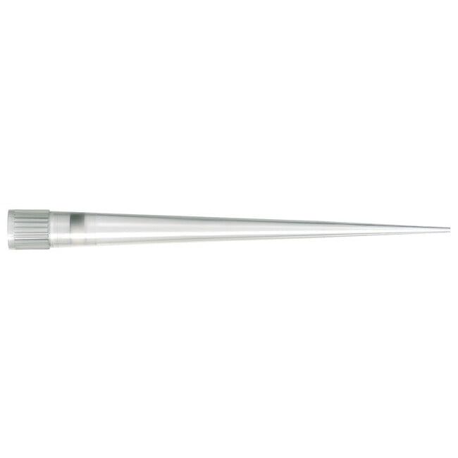 Finntip Filtered Pipette Tips | Thermo Scientific