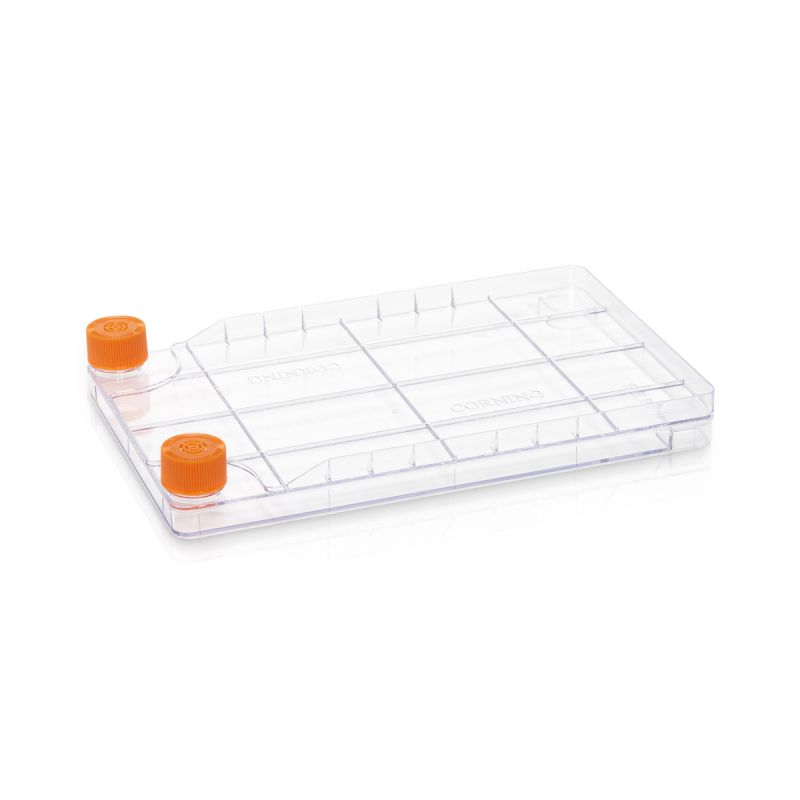 CellSTACK Polystyrene Ultra-low Attachment Chamber | Corning