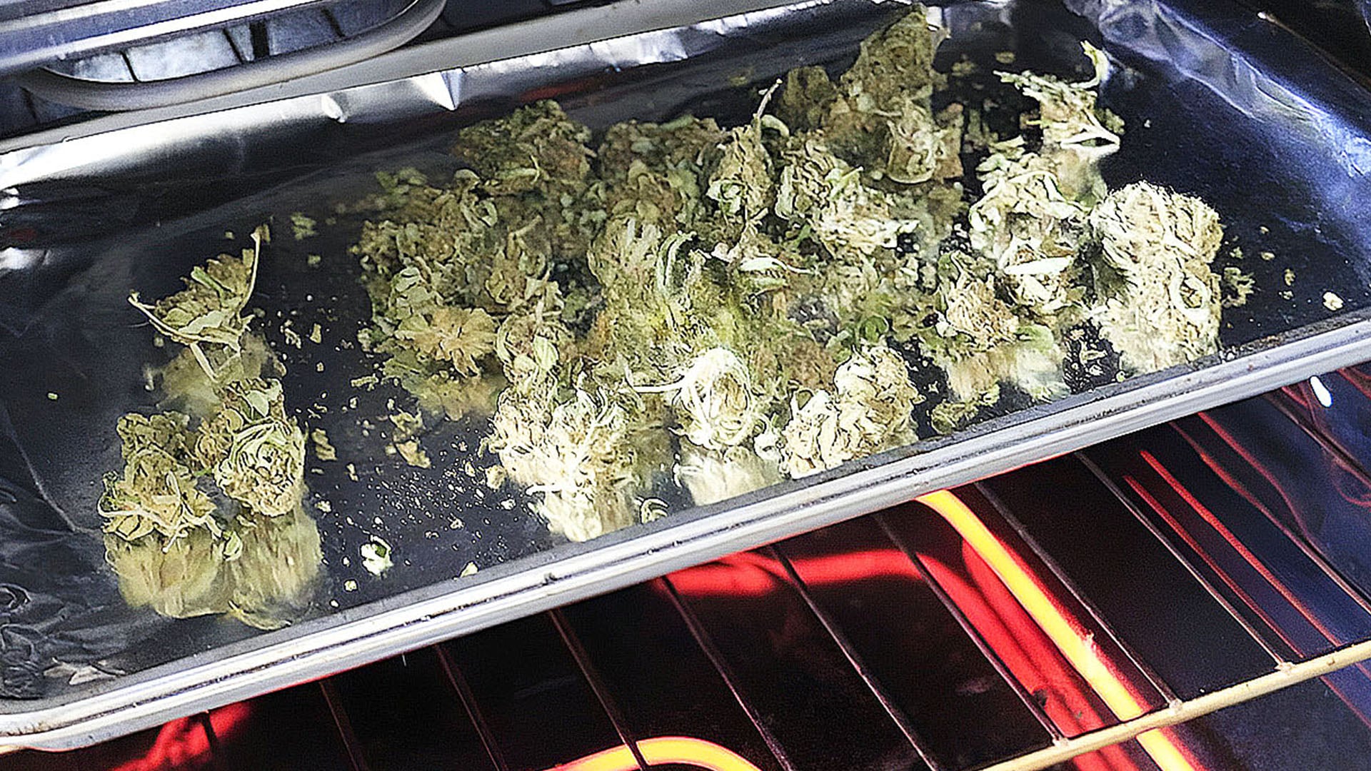 Vacuum Oven vs. Convection Oven for Cannabis Processing
