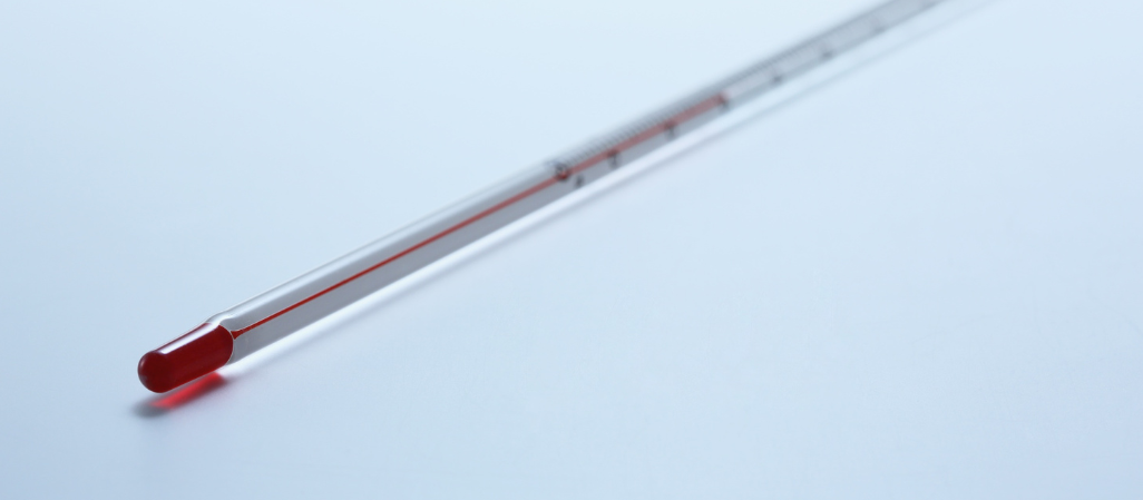 Immersion Thermometers: Which One Is Right for You?