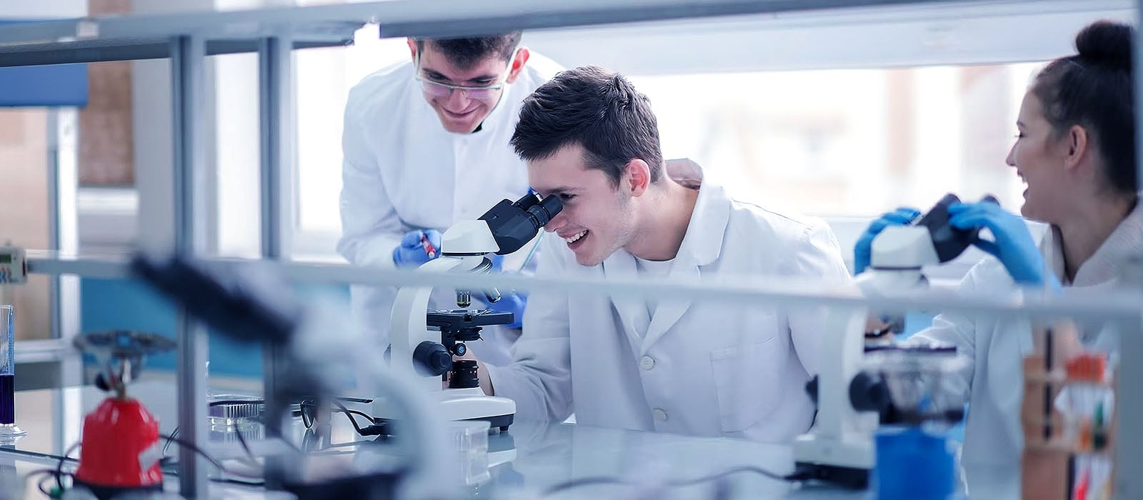 Essential Microbiology Lab Equipment For Universities