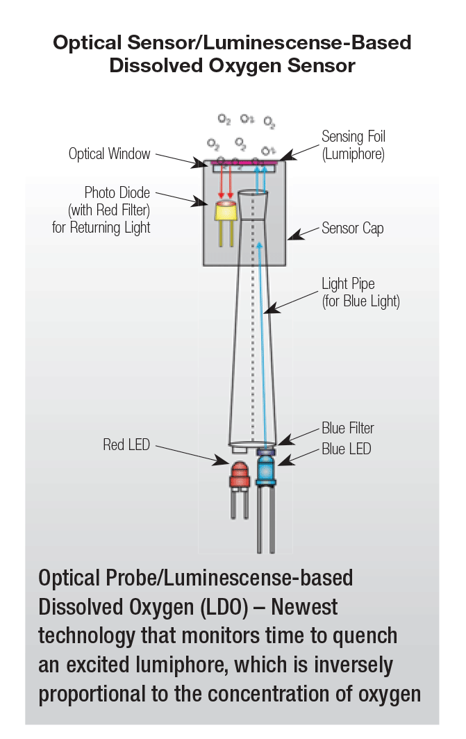 Orion™ RDO™ Dissolved Oxygen Probe Orion™ RDO™ Dissolved Oxygen Probe